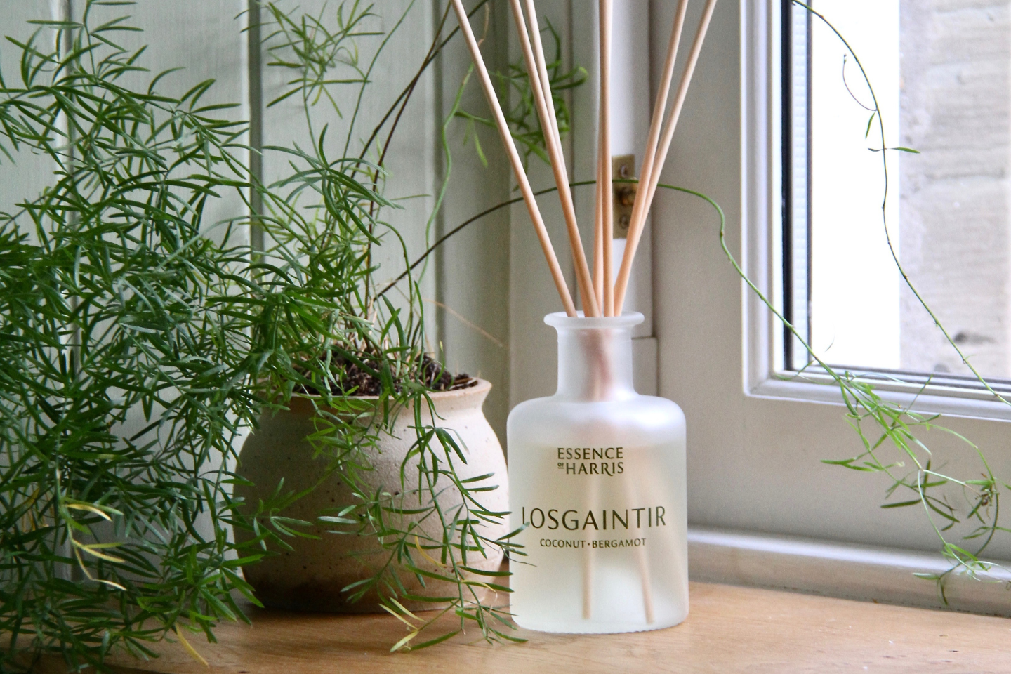 Reed Diffusers and how to get the best out of them | Blog – Essence of ...
